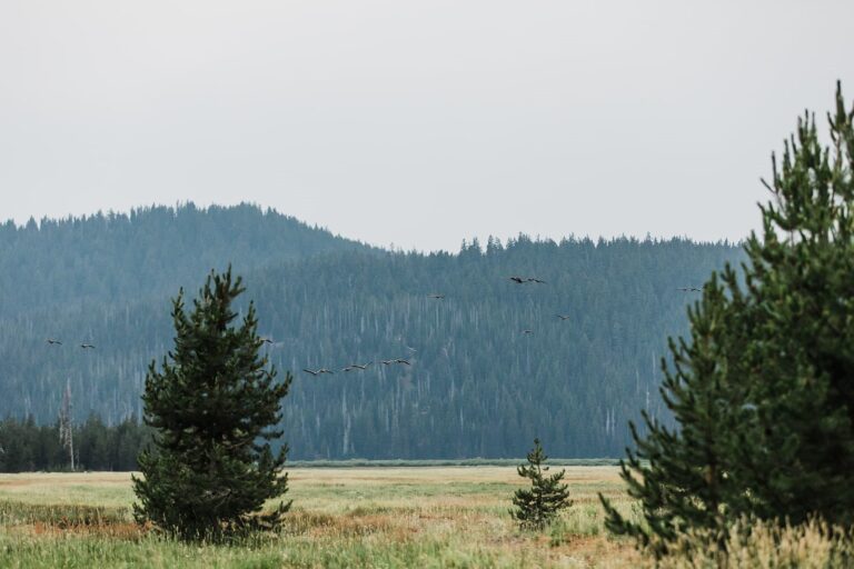 Central Oregon Elopement At Sparks Lake - Rose & Alex