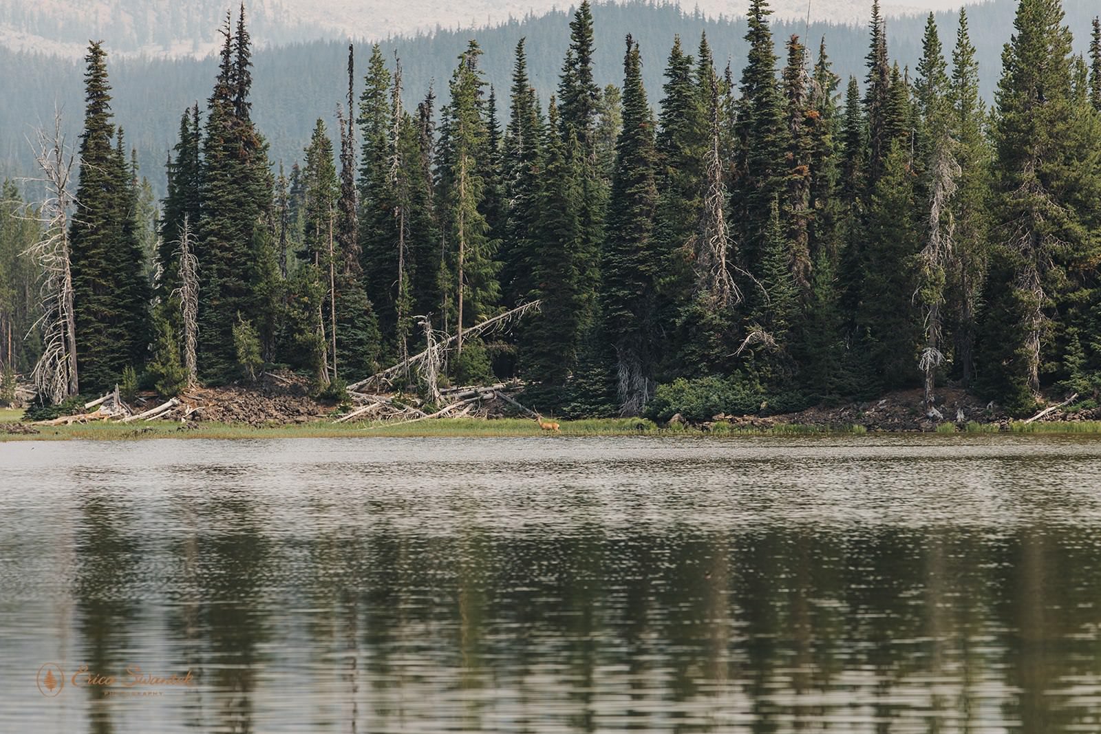 Central Oregon Elopement At Sparks Lake - Rose & Alex